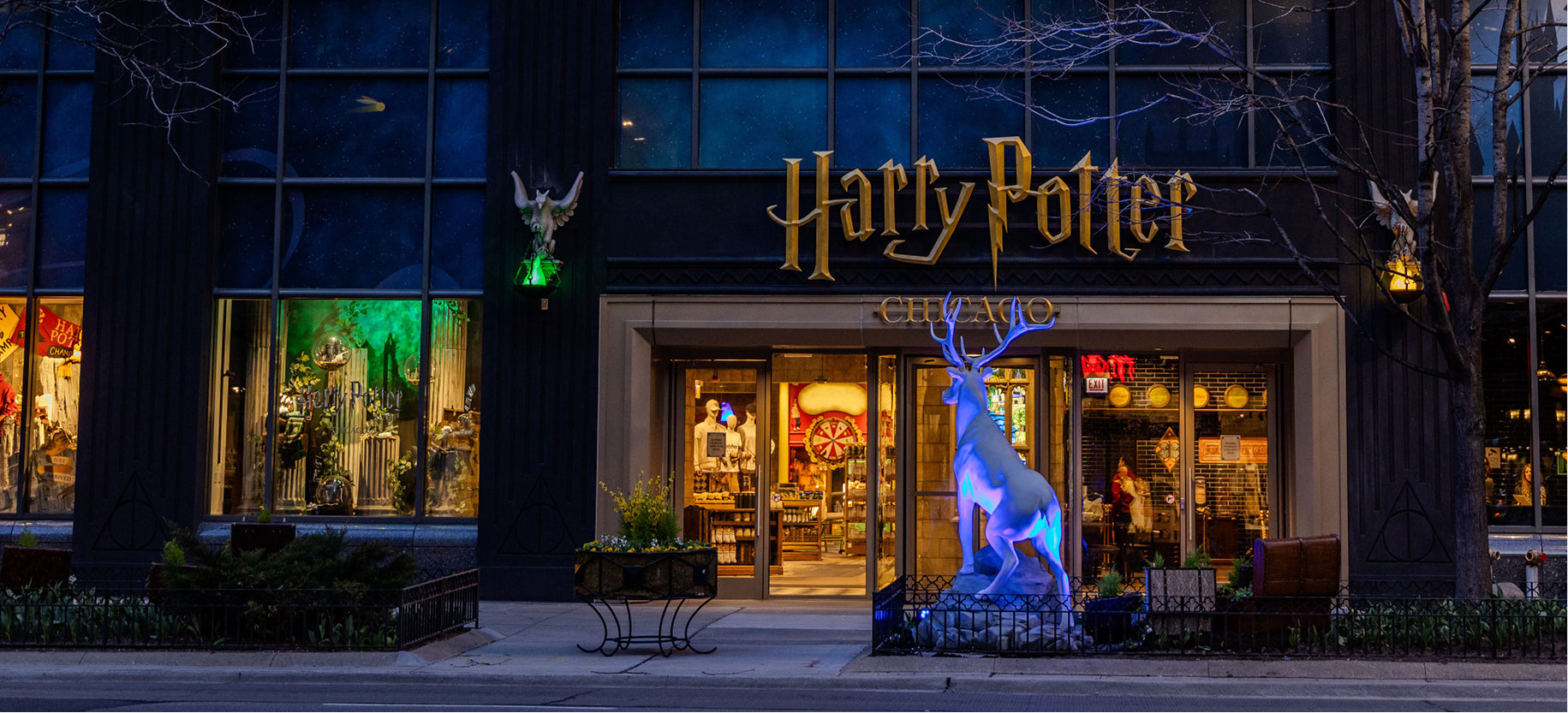 Harry Potter Shop Chicago