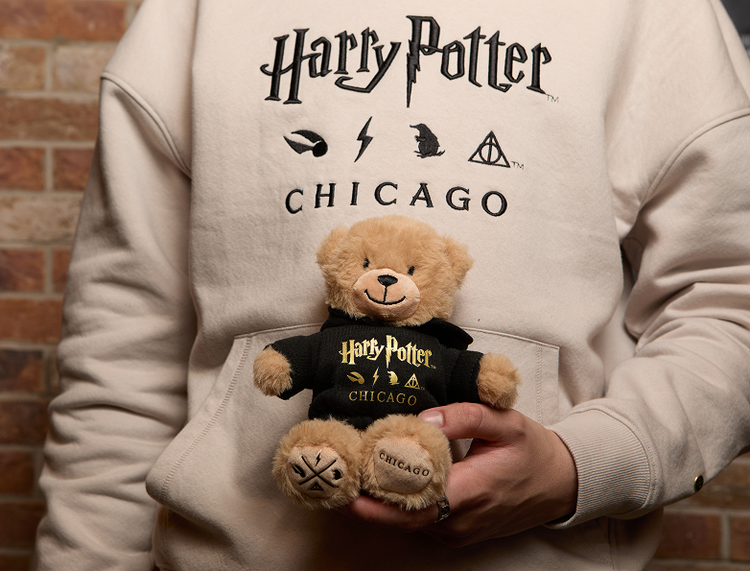 Harry Potter Shop Chicago