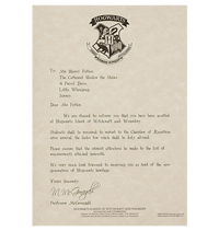 Hufflepuff Merchandise | Harry Potter Shop UK
